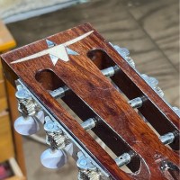 Welcome to Pawless Guitars